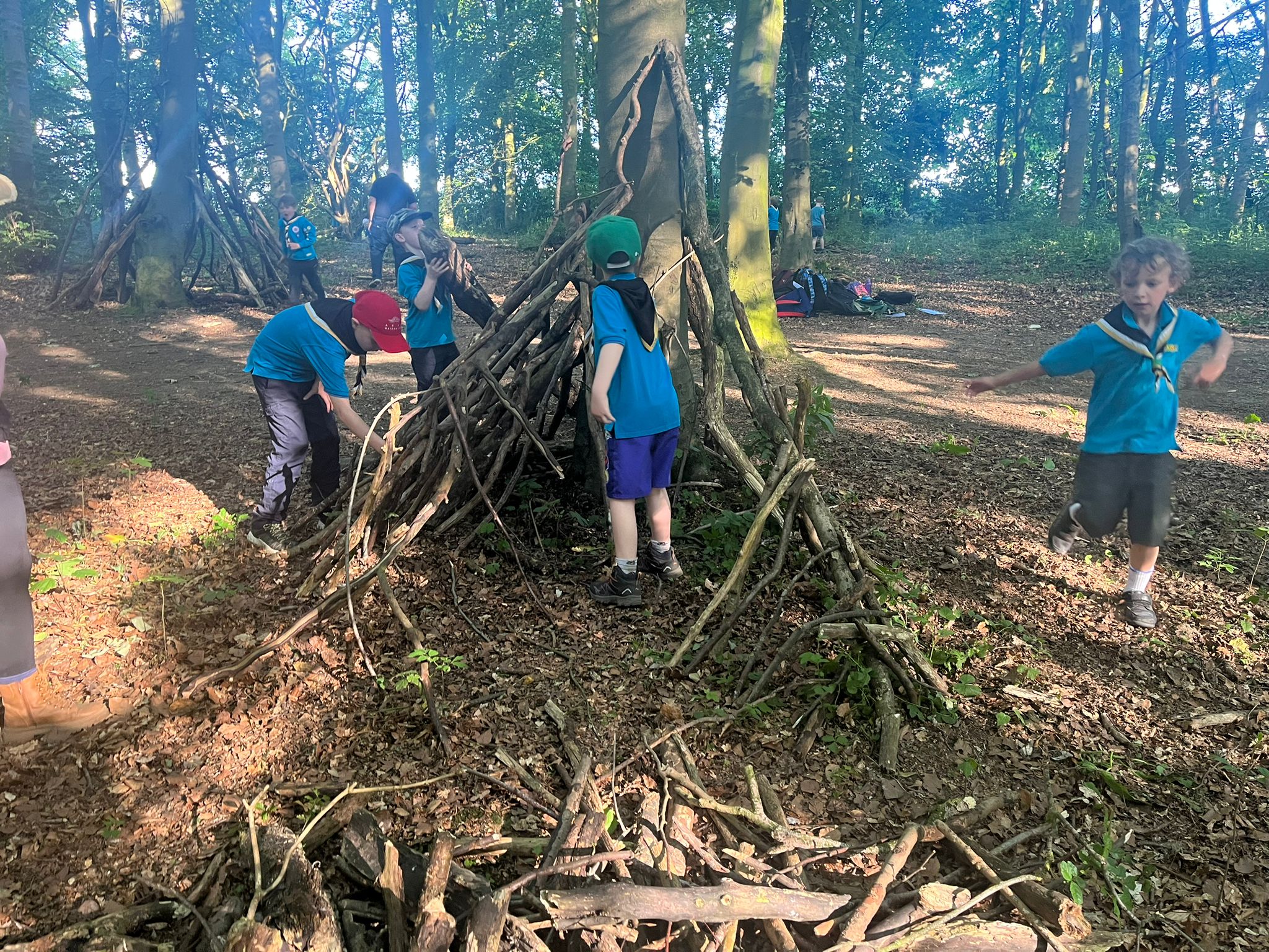 Building Dens - Hessle Scout Group